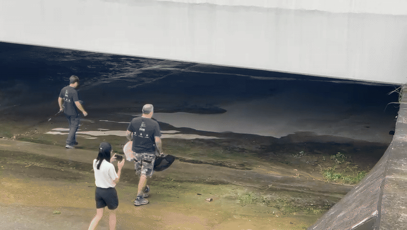 Otter pup stranded in Bukit Panjang canal amidst monsoon surge, reunited with family after 24 ...