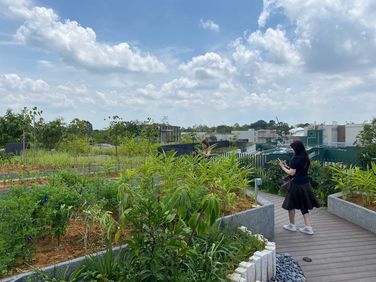 First look: Stunning views, luxury amenities & wildlife encounters ...