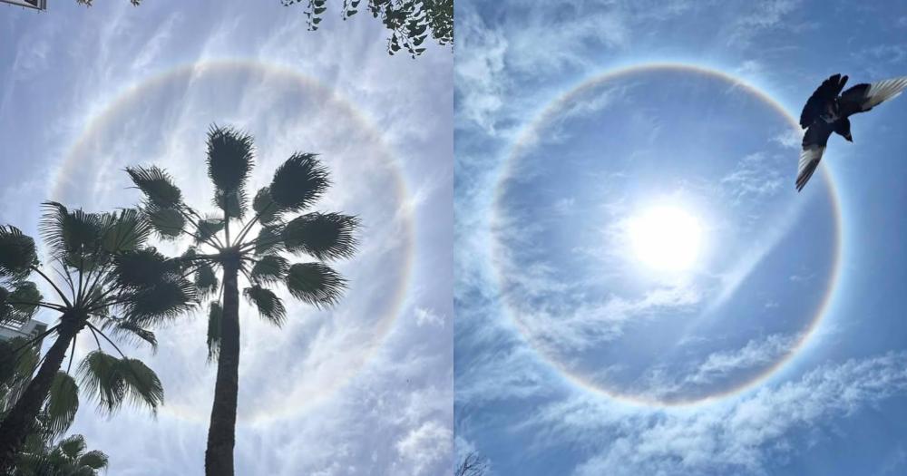 SBS Transit bus captains, station staff to don new purple & orange ...