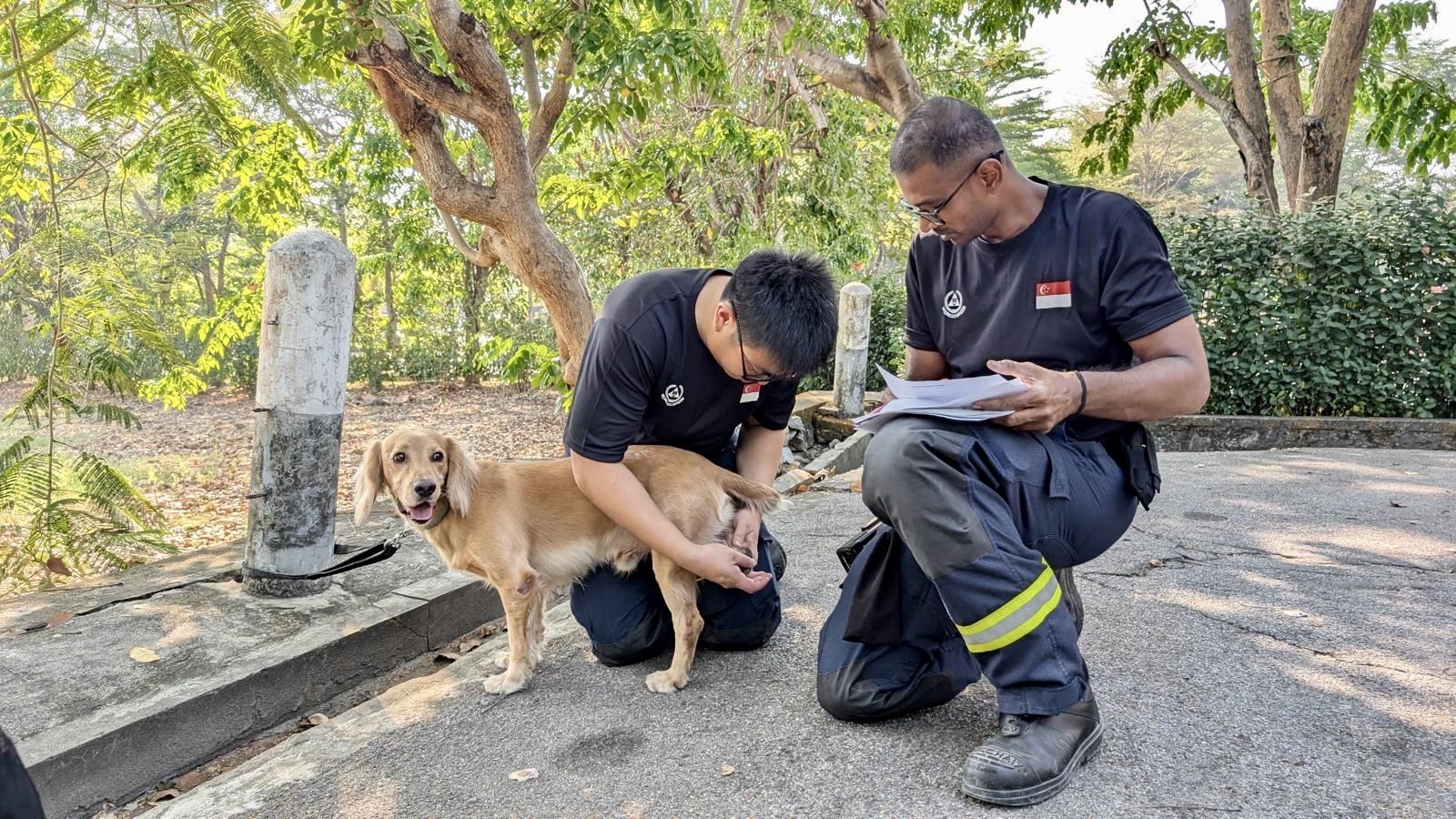 SCDF contingent in Myanmar to return home on Apr. 8. Here's all they've ...