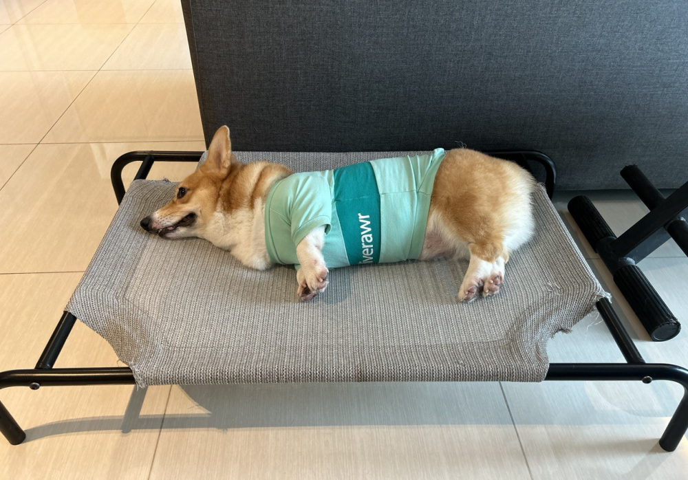 The older I get, the more I appreciate simple gatherings at home ...