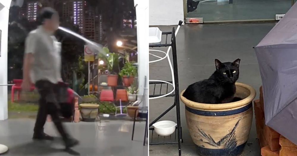 Man, 31, charged with murder of 2 Israeli embassy employees in US ...