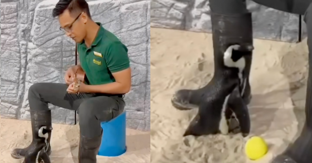 987FM DJ Germaine Tan announces engagement to Zouk CEO boyfriend Andrew ...