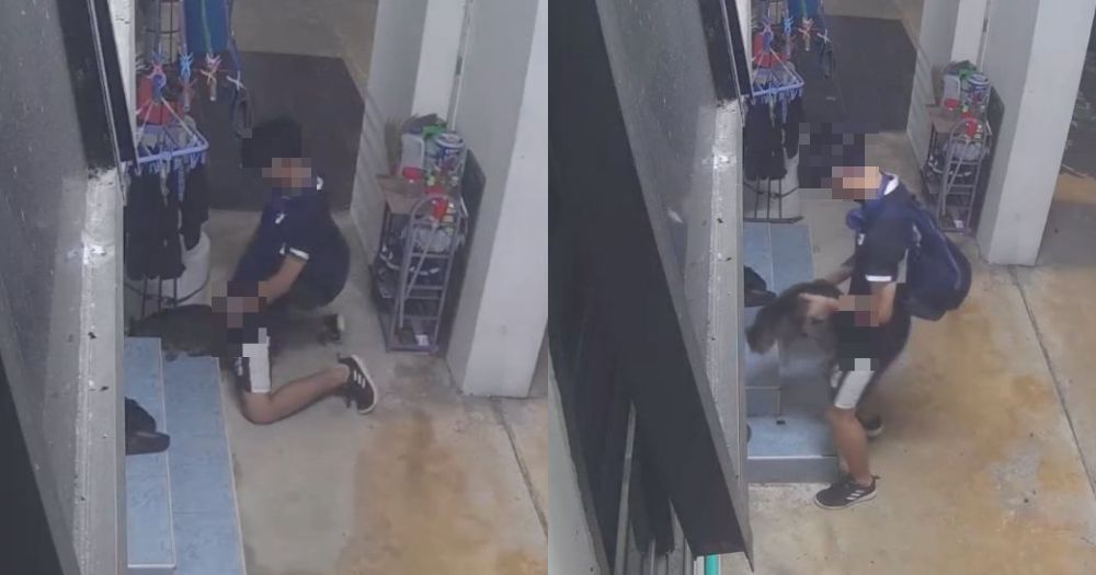 President Tharman commends spirited but decorous GE2025 contest at ...