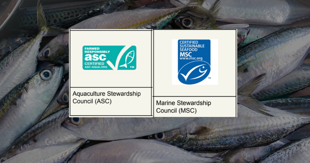 Go green & win vouchers by knowing these common eco-labels in S'pore ...