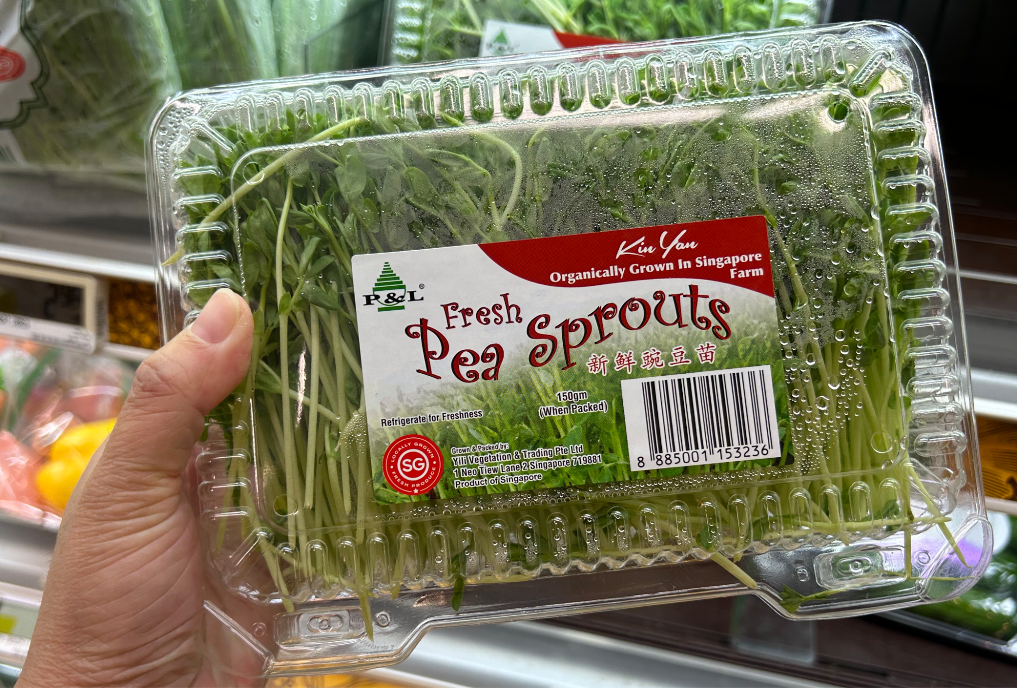 Go green & win vouchers by knowing these common eco-labels in S'pore ...