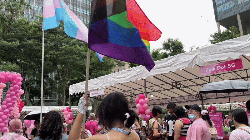 Pink Dot 17 looks to share stories from the community to a kinder world ...