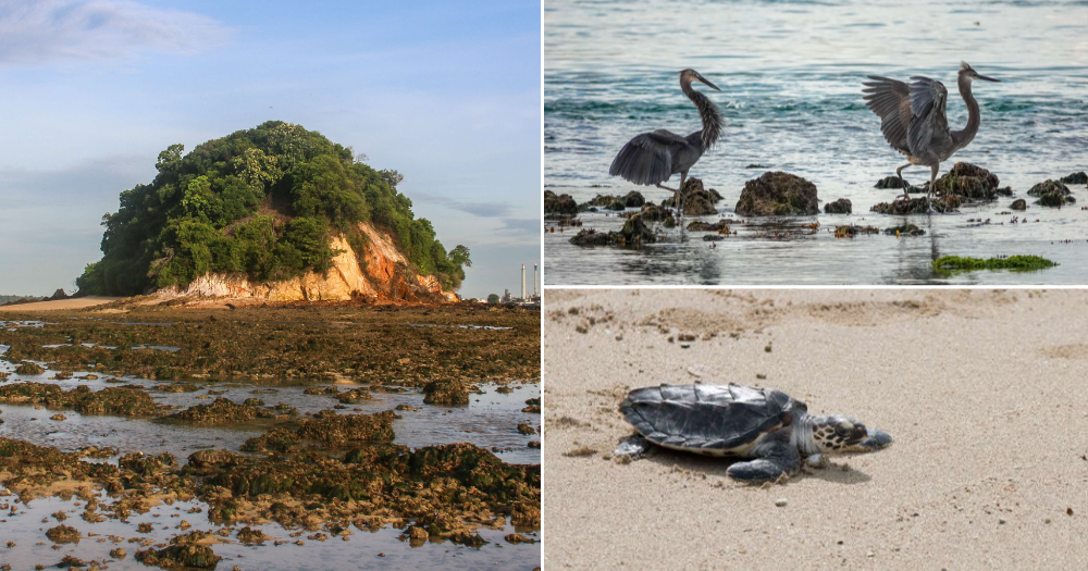 Search for Miss Universe S'pore now on, winner gets S$10,000 ...