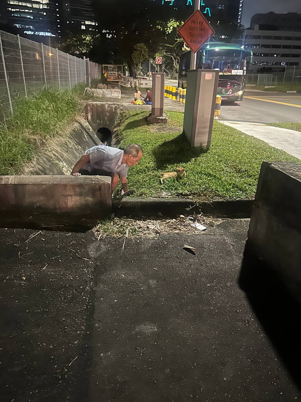 Cat feeder Uncle Ong & 7 others spend 2 hours rescuing cat that got run ...