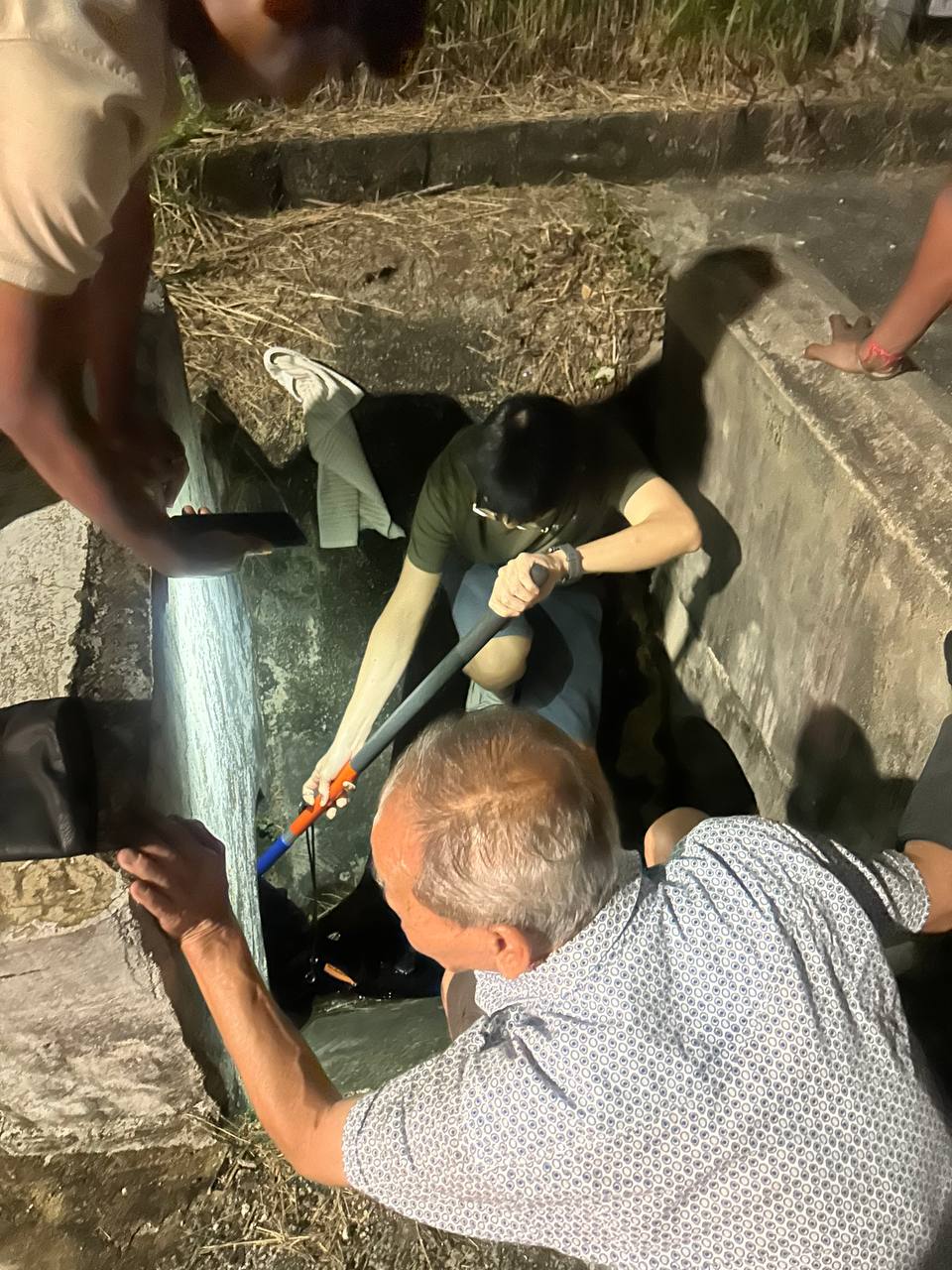 Cat feeder Uncle Ong & 7 others spend 2 hours rescuing cat that got run ...