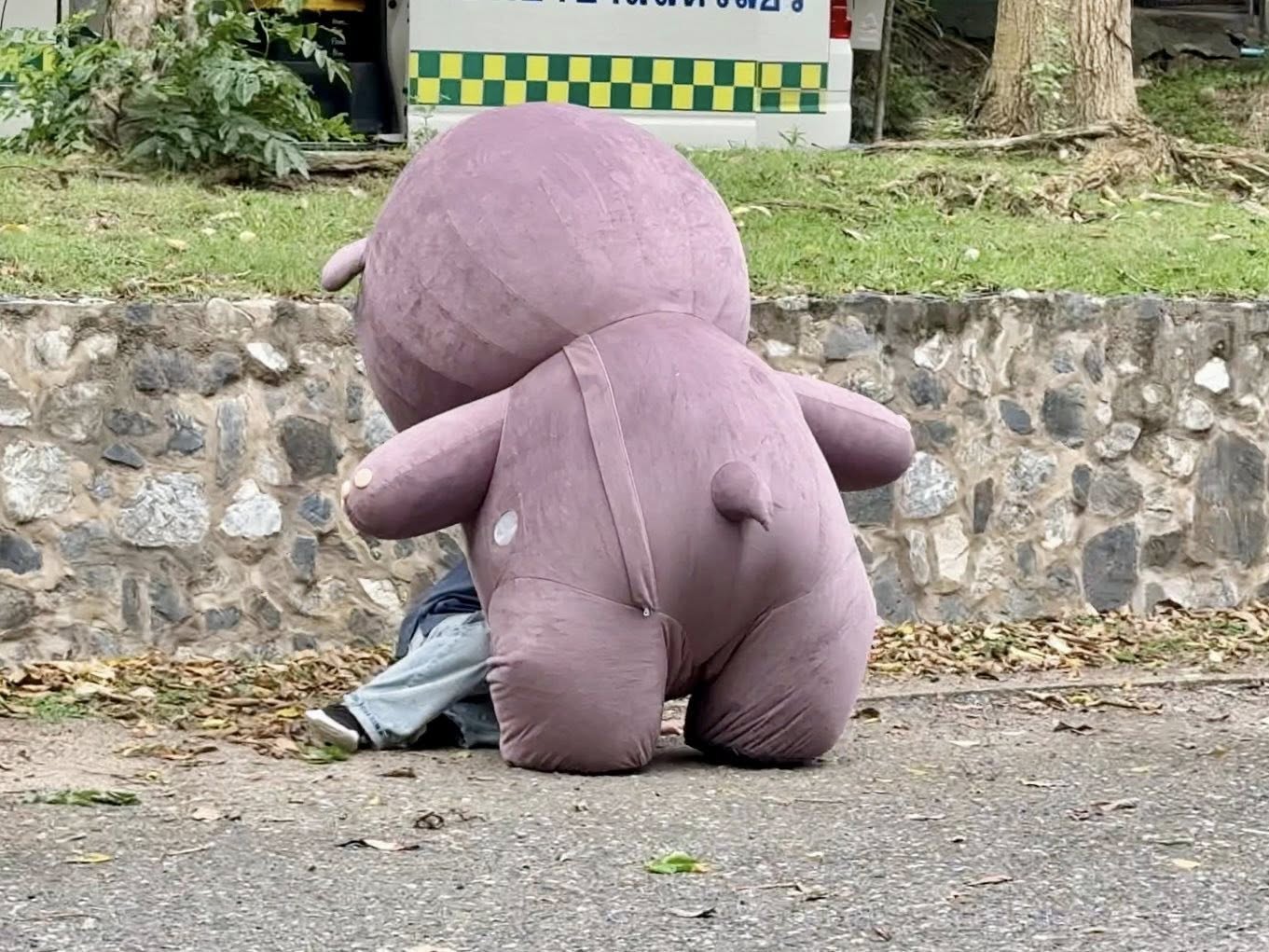 'Moo Deng' escapes from enclosure as part of Thai zoo's emergency response drill - Mothership.SG ...