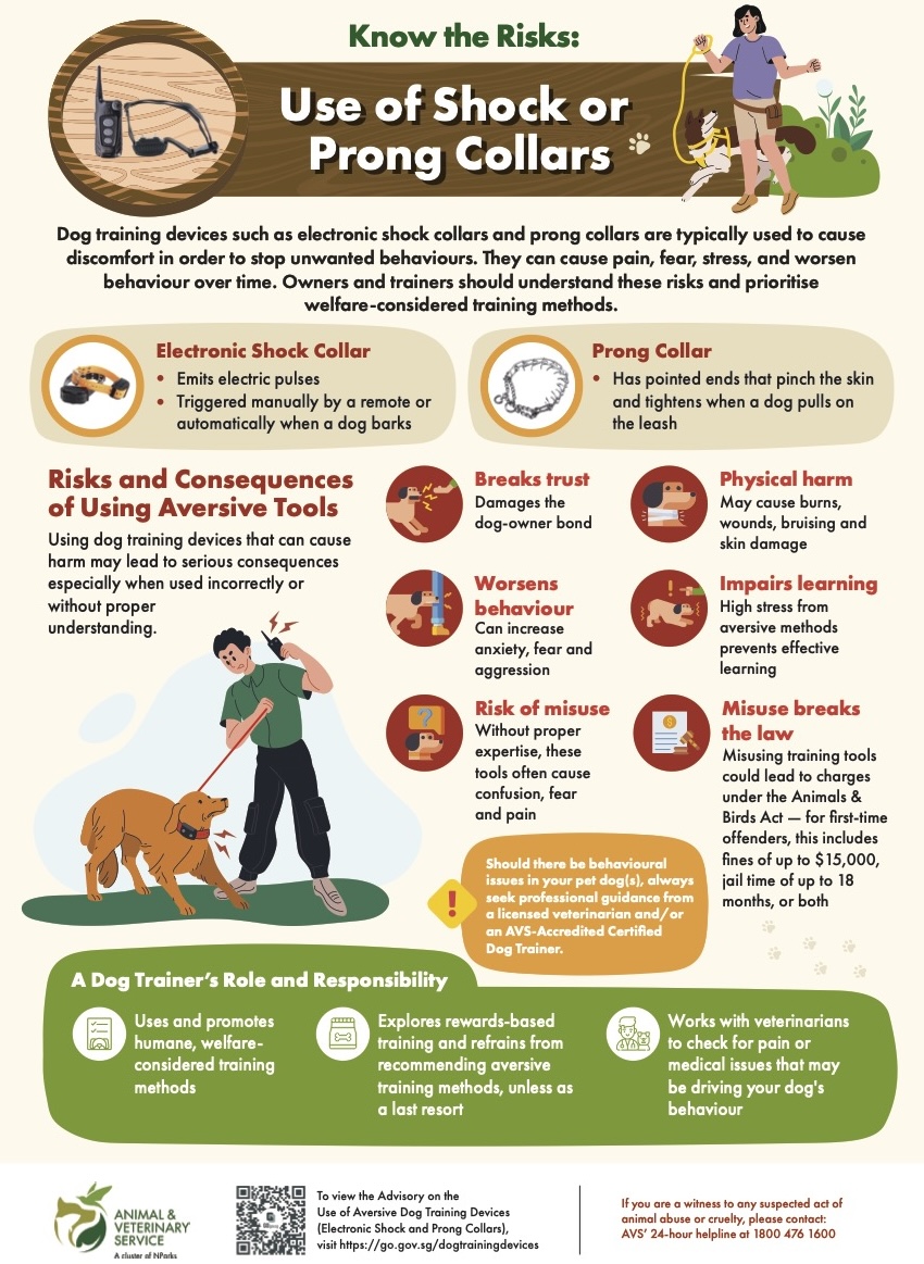 S'pore dog owners advised against using shock & prong collars, more ...