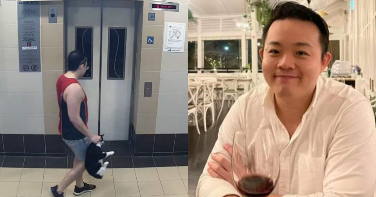 Ang Mo Kio cat killer Barrie Lin Pengli gets jail term extended to 2 ...