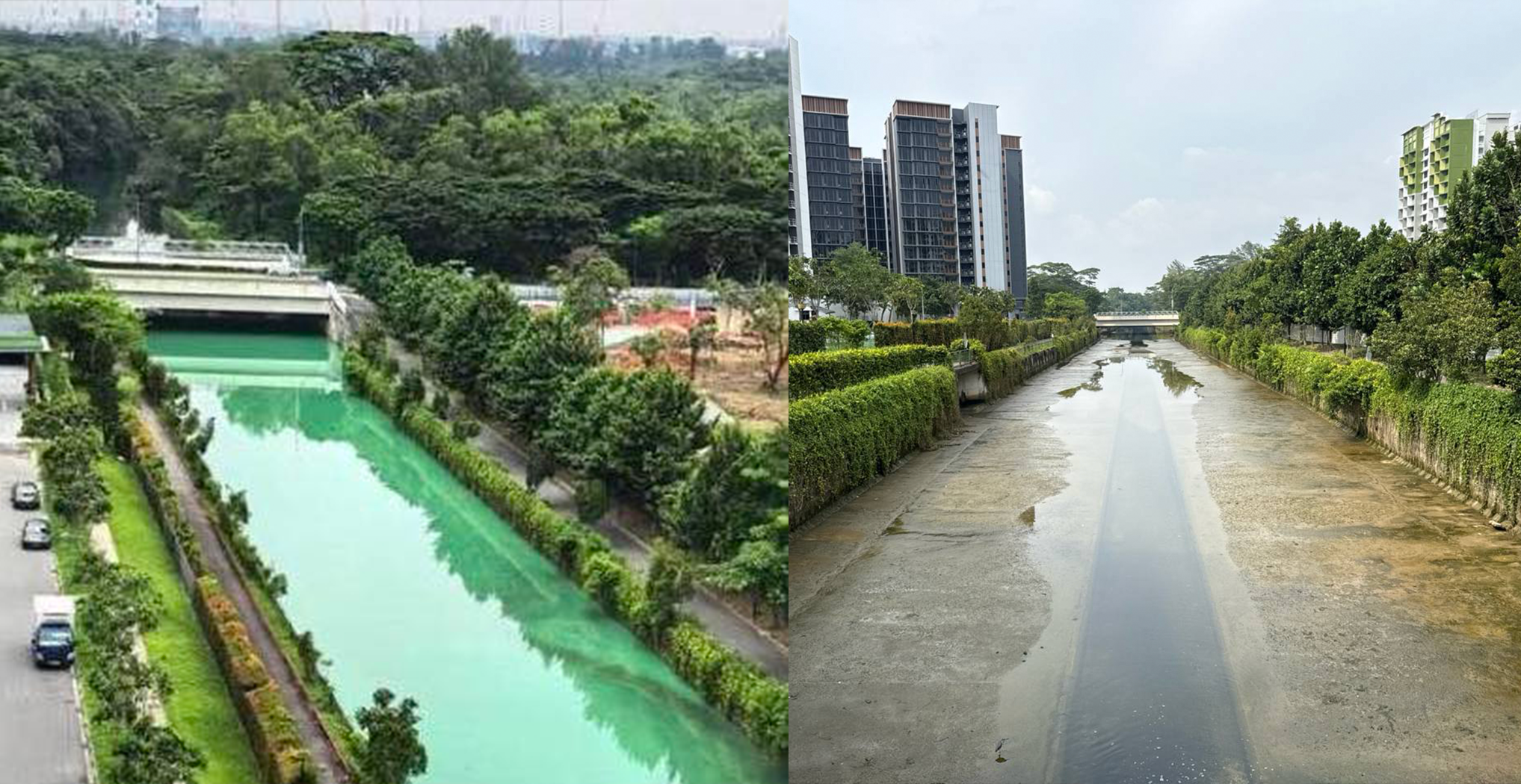 Yishun canal turned emerald green due to ink contamination: NEA ...