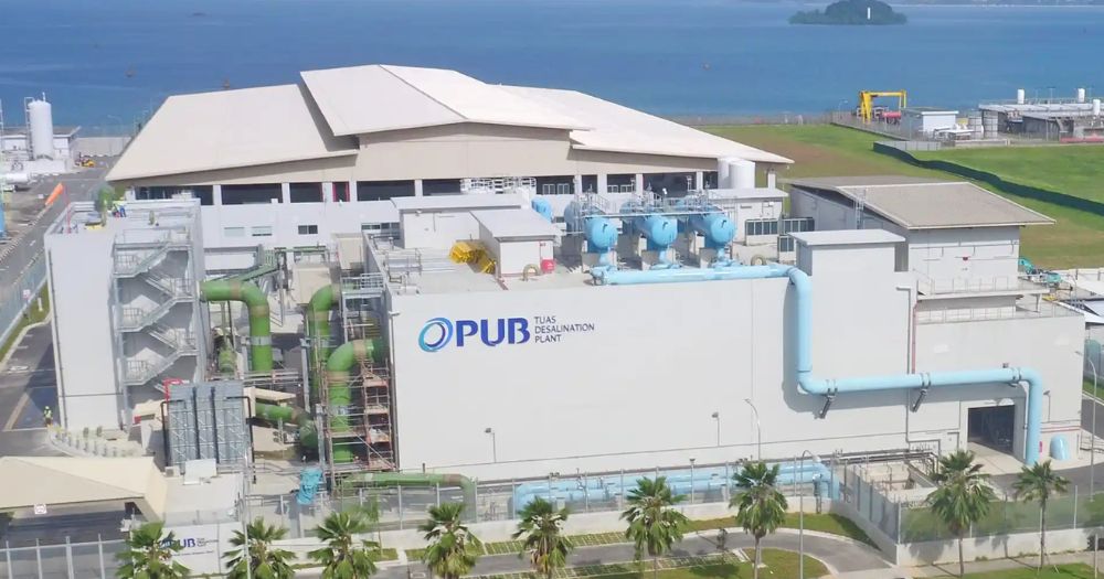 Ex-SGH doctor gives herself MCs to cover absences on 2 days, suspended ...