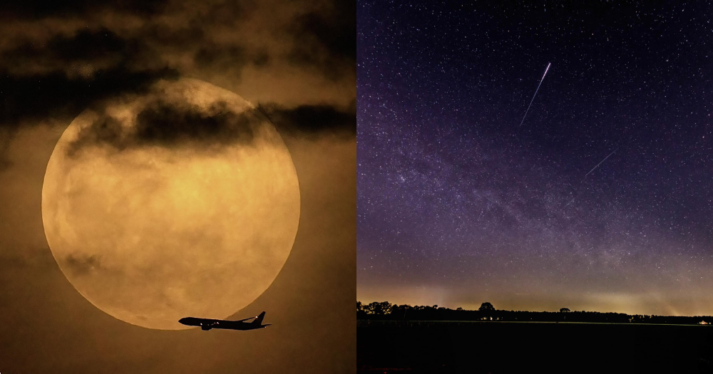 Ex-SGH doctor gives herself MCs to cover absences on 2 days, suspended ...