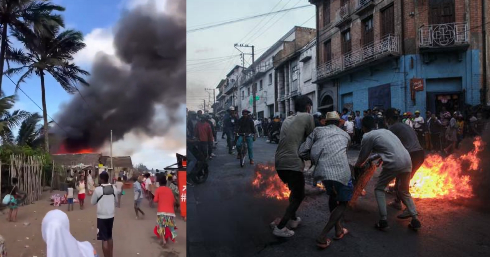 Woman allegedly caught 2 juvenile blacktip reef sharks on Sentosa ...