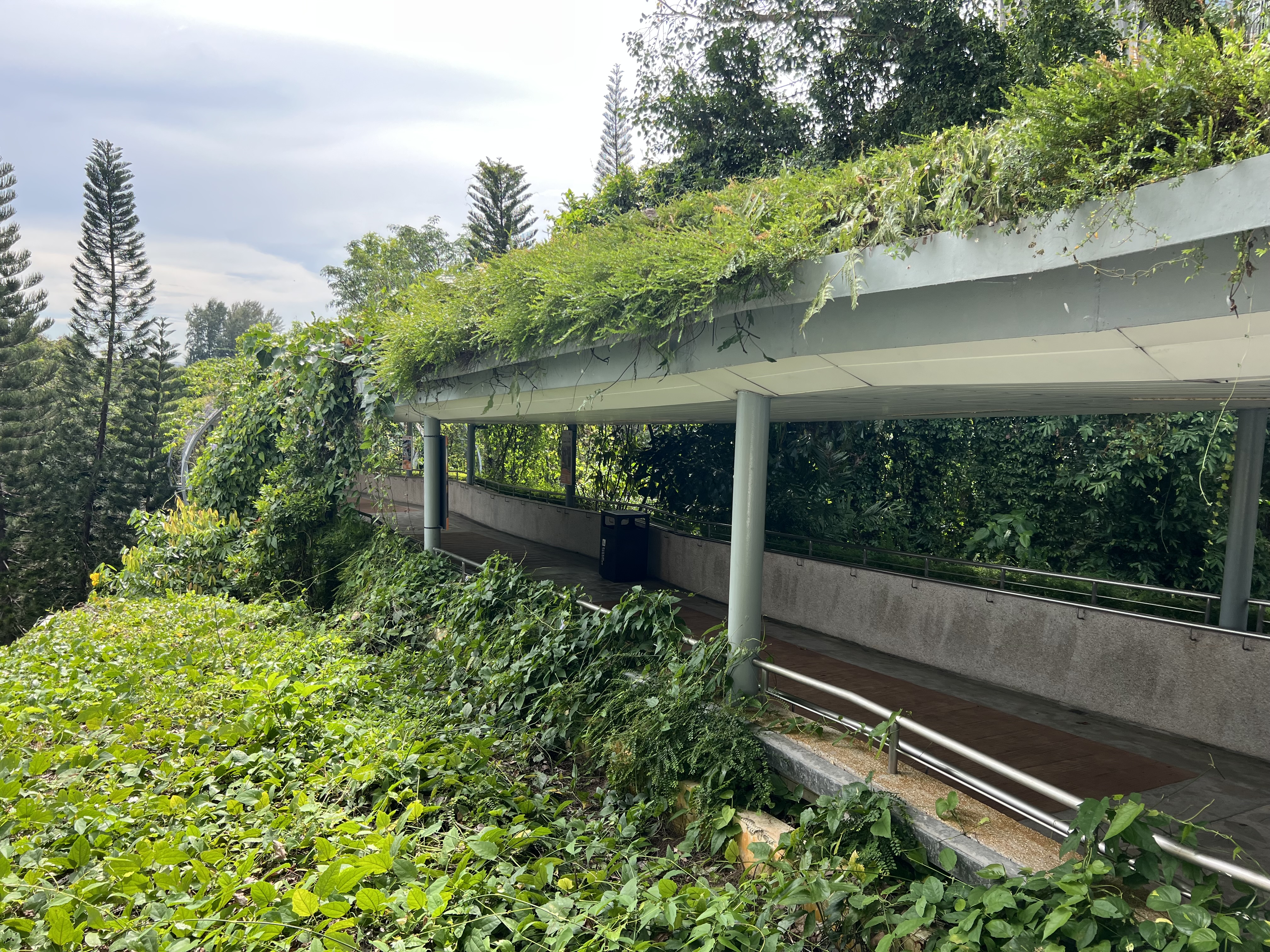 Sentosa launches islandwide cooling plan to lower temperatures by at ...