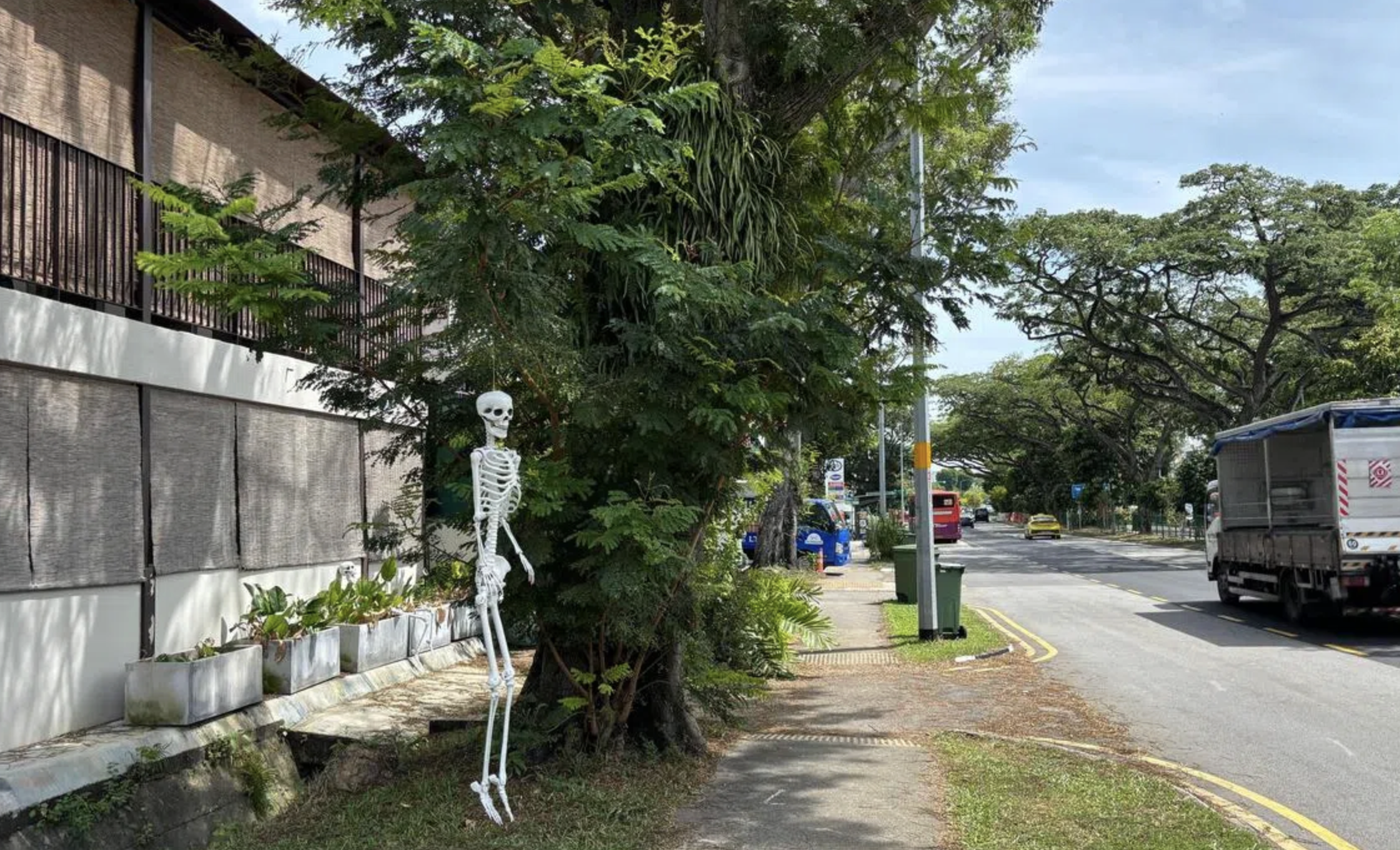 Skeleton prop left hanging from tree along Yio Chu Kang Road after ...