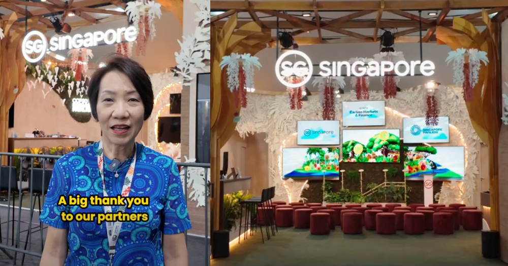 'International cooperation can deliver results': Grace Fu at the ...