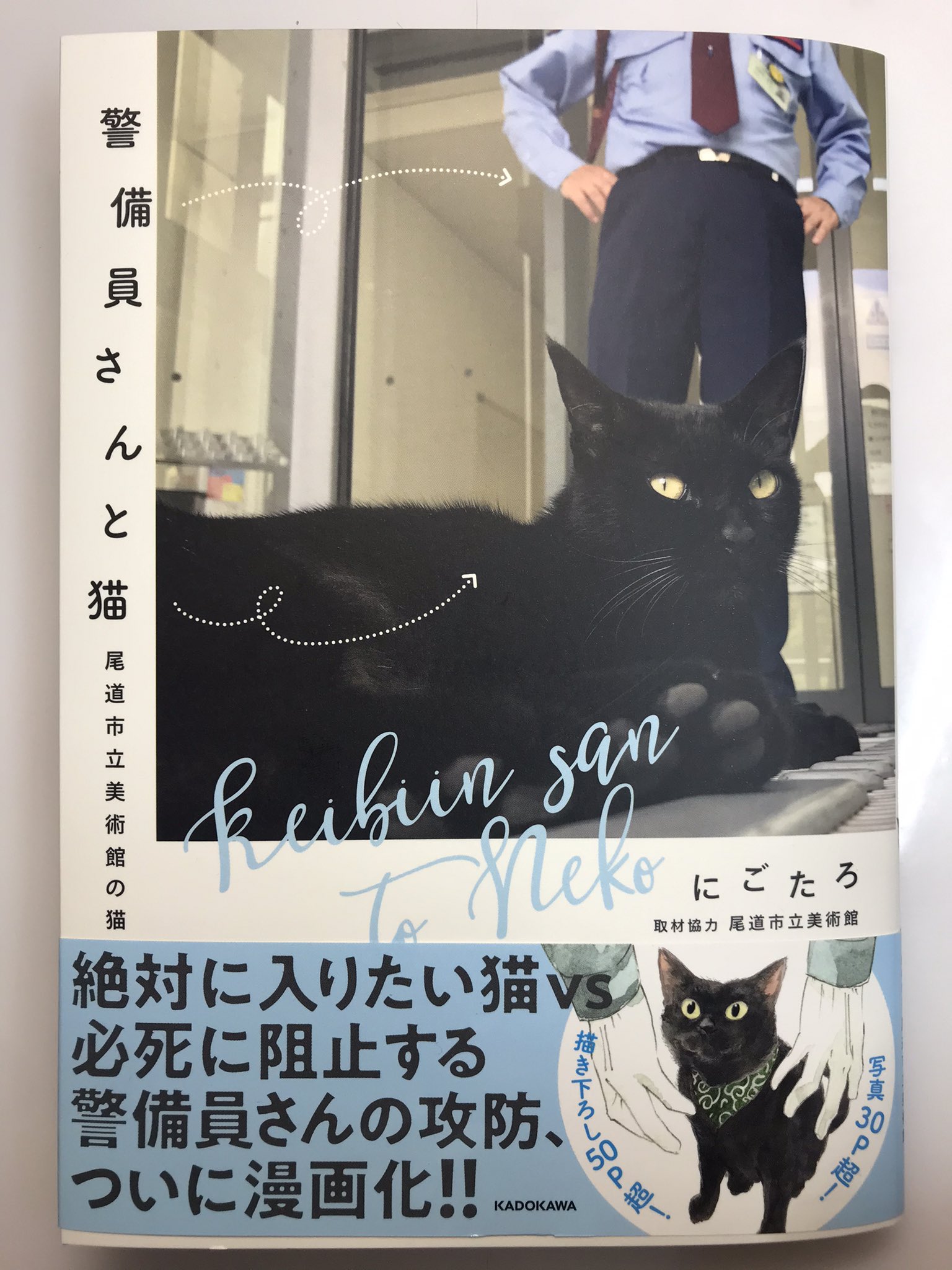 Ken-chan, the black cat that kept trying to enter museum in Japan since ...