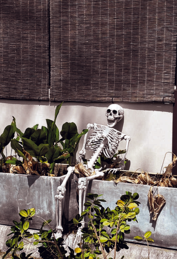 Skeleton prop left hanging from tree along Yio Chu Kang Road after ...