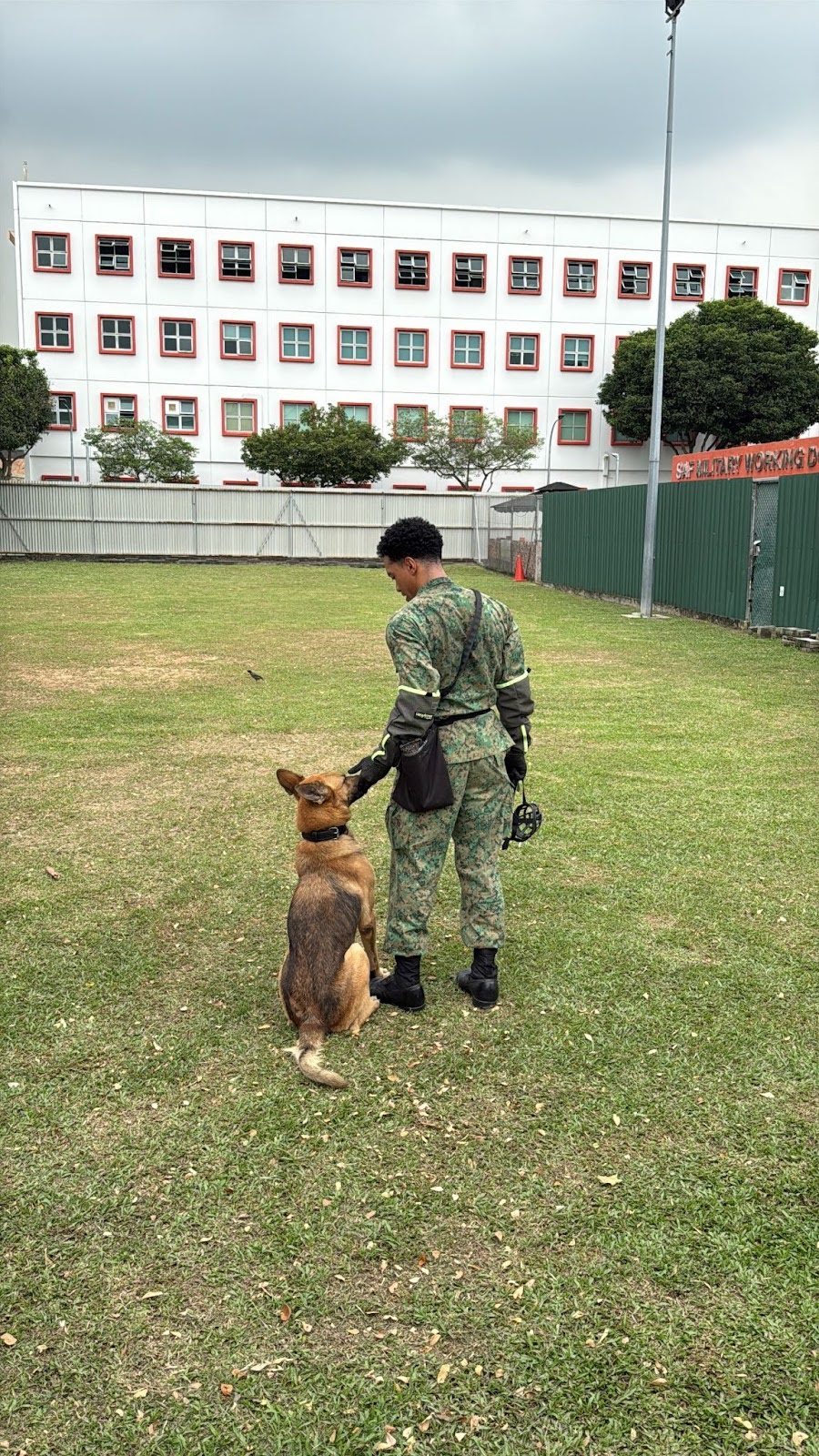 Meet the Military Working Dog Unit, where dogs & humans work together ...