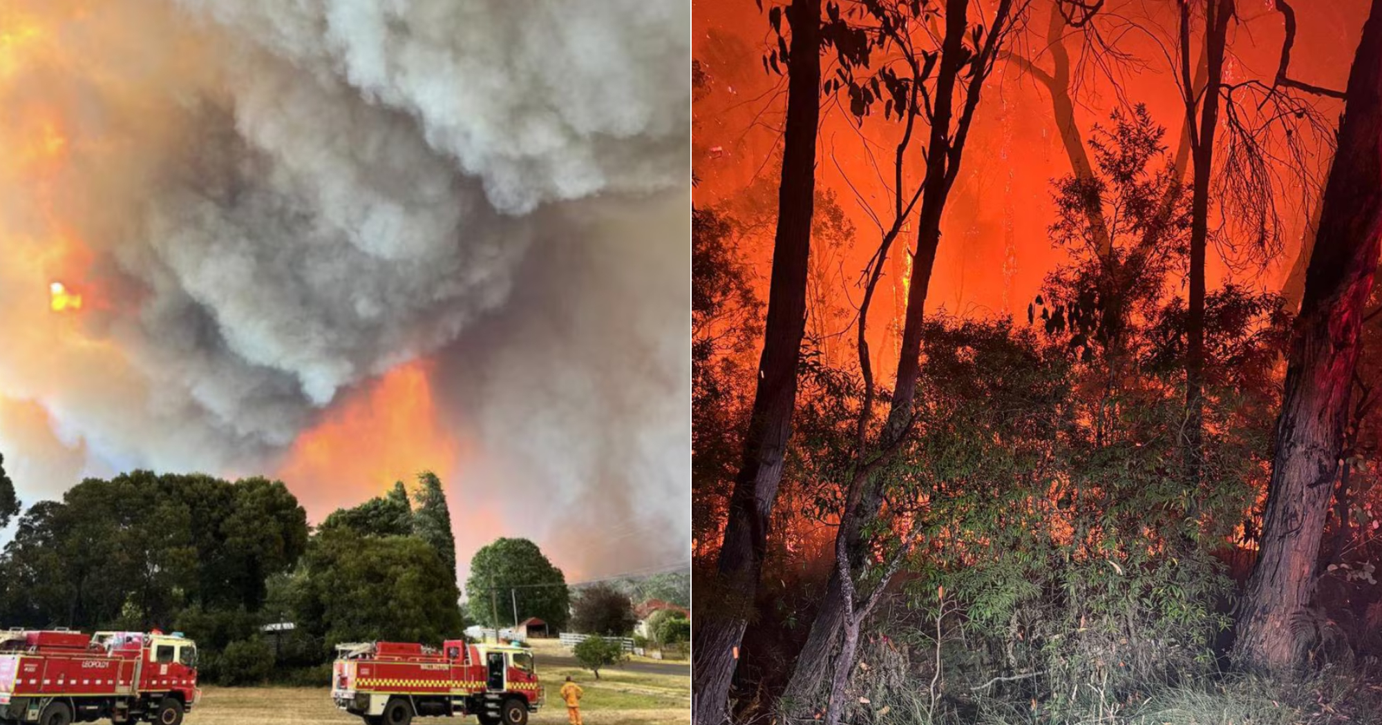 MSF alerted to Indonesia baby trafficking ring involving 3 S'pore intermediaries in 2024 ...