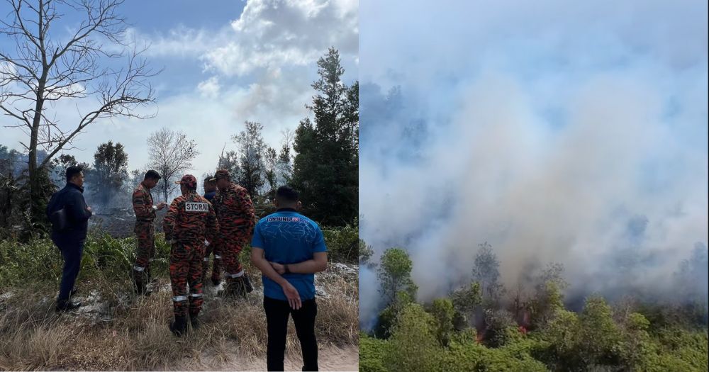 Johor peat fire spreads to 99.54 hectares, NEA says S'pore may ...