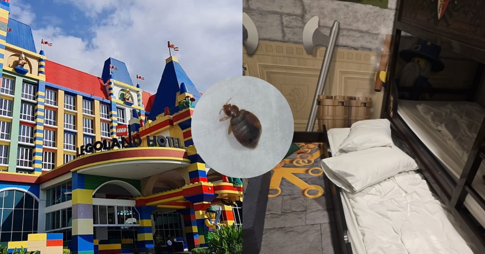 Mothership - S'porean family allegedly finds bed bugs in Legoland M'sia ...
