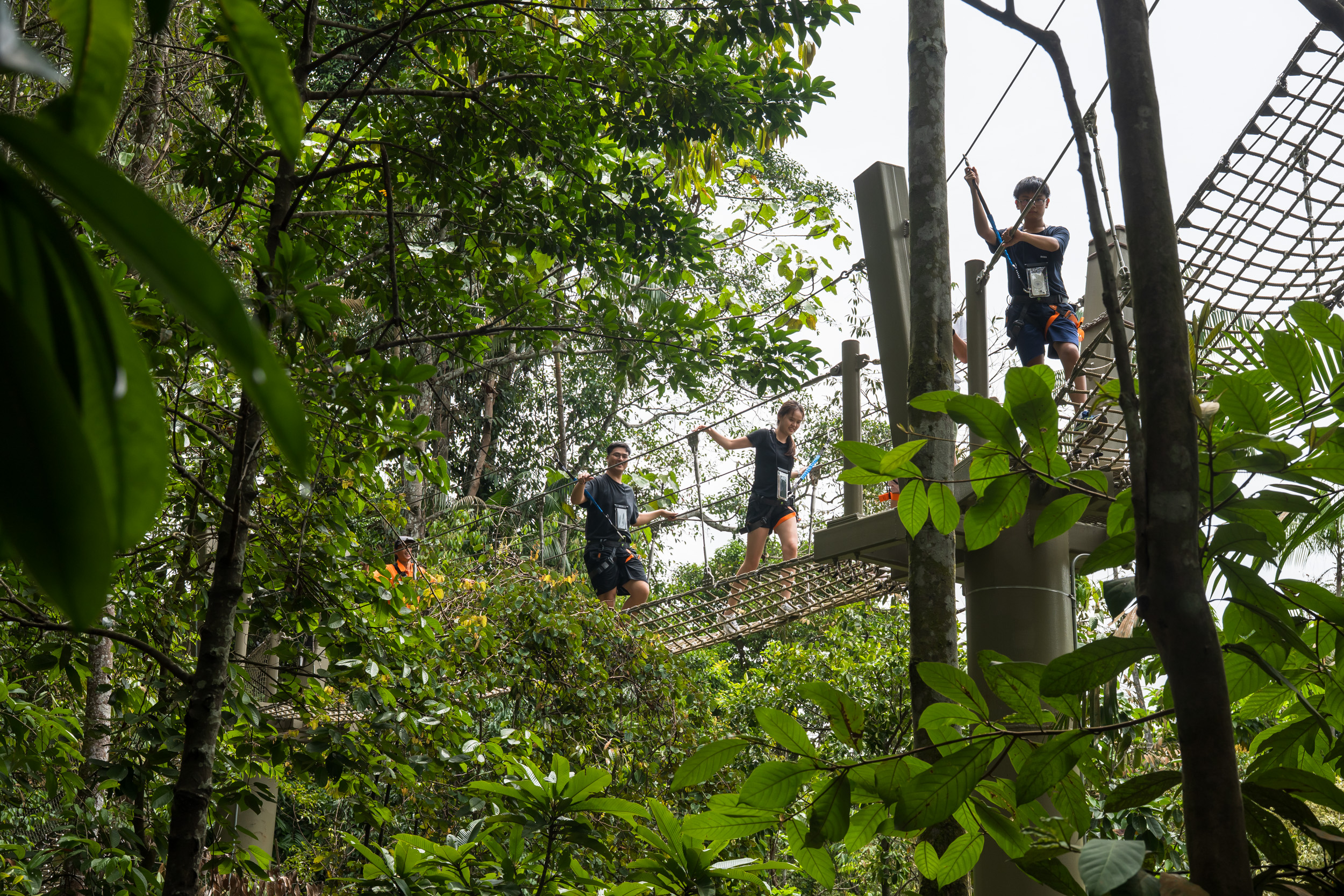 First look: Rainforest Wild Adventure East opens at Mandai with okapis ...